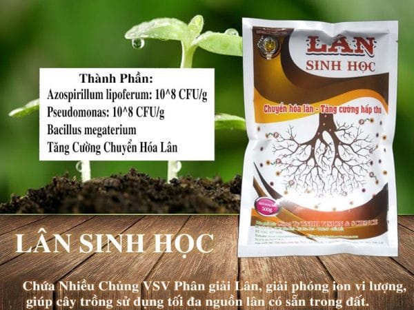 Lân Sinh Học: Phân vi sinh chuyển hóa Lân - Cửa Hàng VTNN